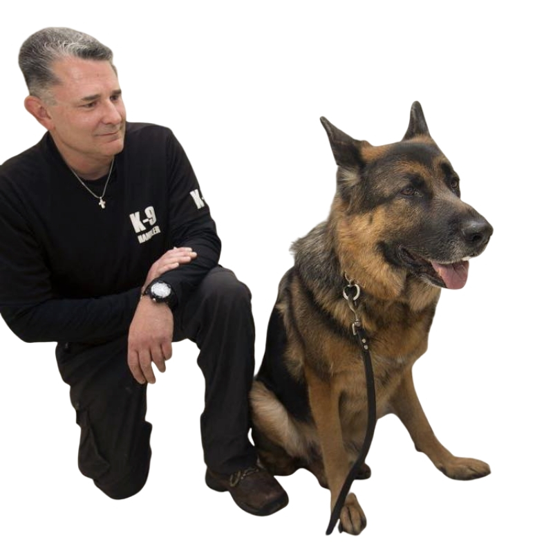 K-9 Development – Professional Dog Trainer
